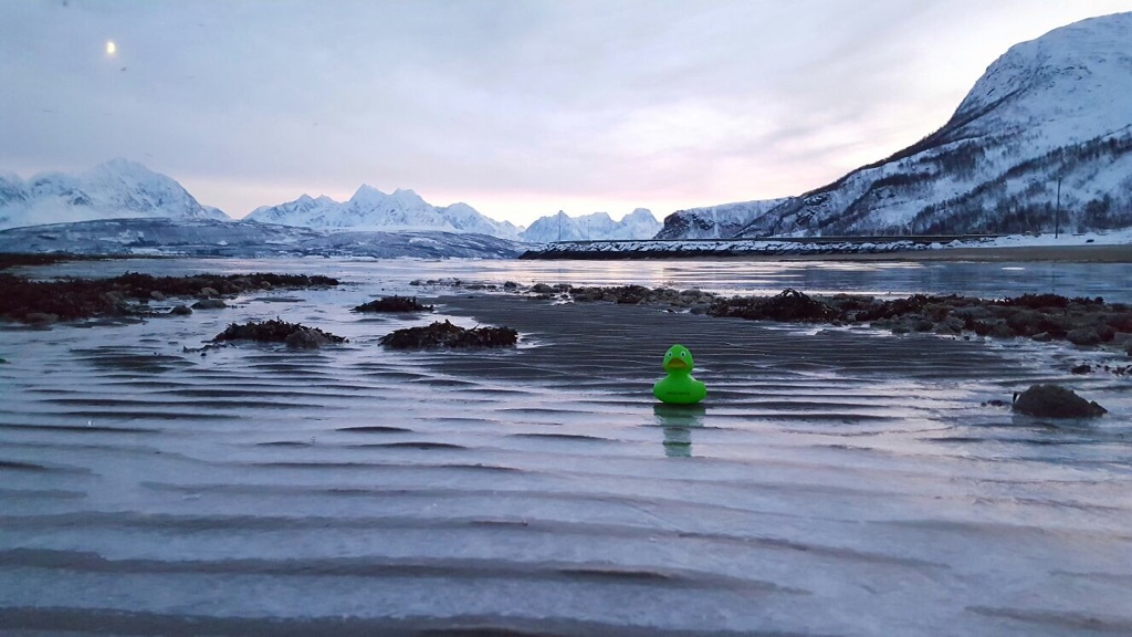 Happy Birthday - 6 Jahre Loewente - Dr. Loew